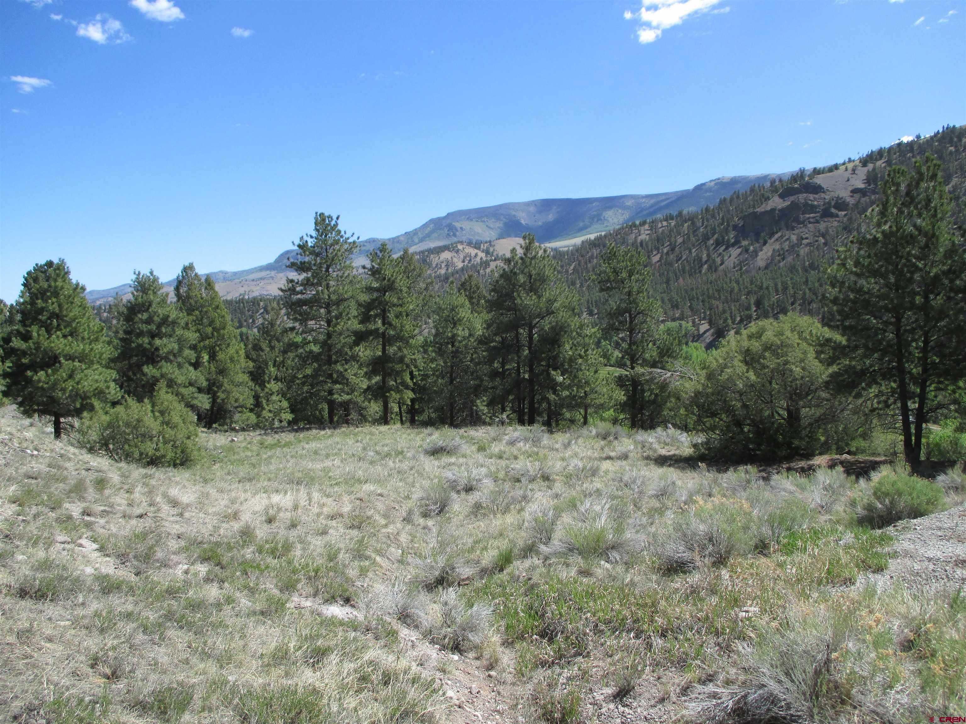 2446 Deer Trail Road | Crested Butte Collection