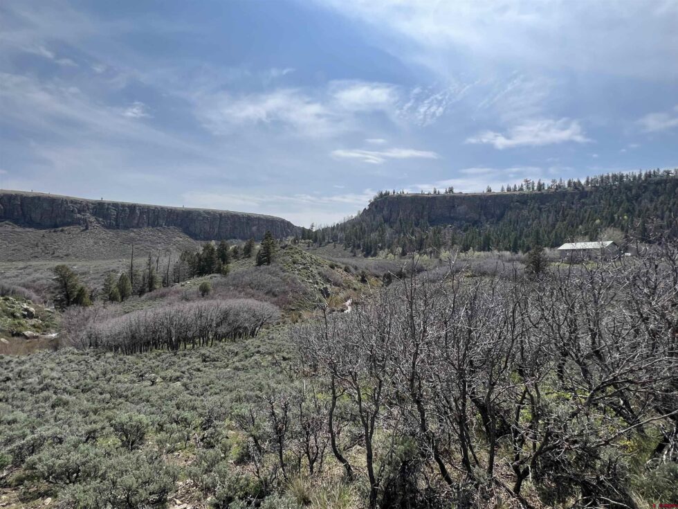 15333 County Road 25 Road | Crested Butte Collection